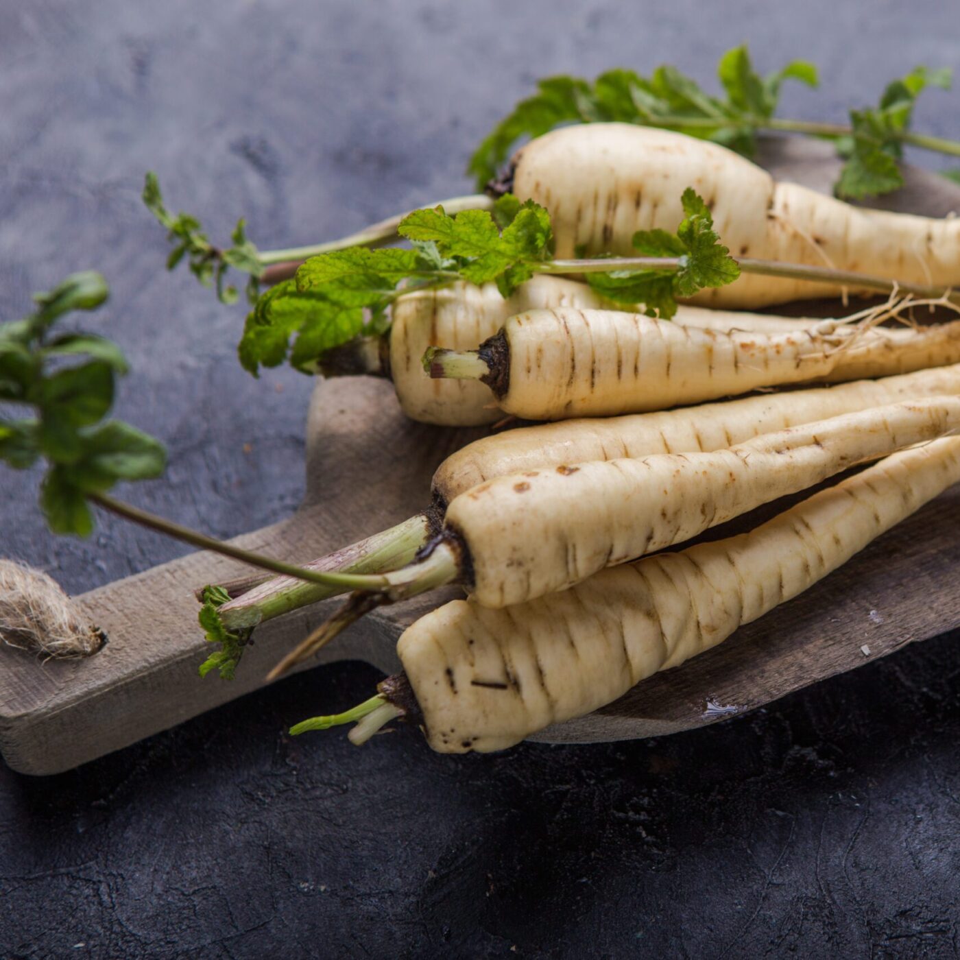 Hollow Crown Parsnip - Albert Lea Seed