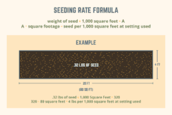 Grass Seeding Rates for New Lawn Establishments - Albert Lea Seed