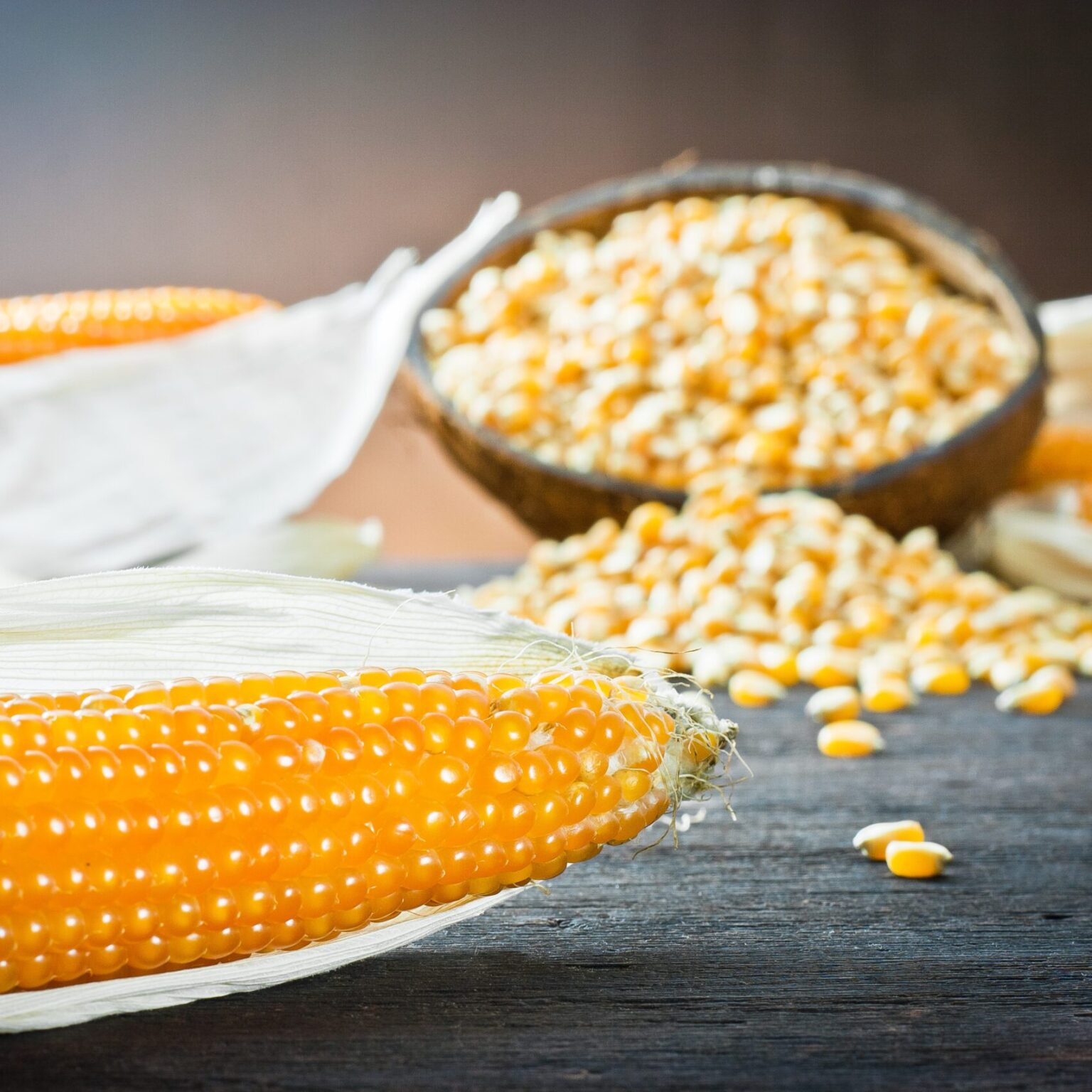 Robust Yellow Popcorn - Albert Lea Seed