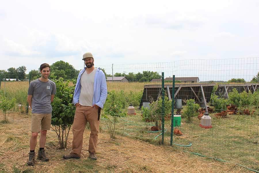 Tree-Range Farm: Regenerative Agriculture Venture