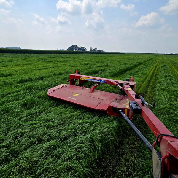 Secretariat Horse Hay Mix Pasture Seed Mix | Albert Lea Seed