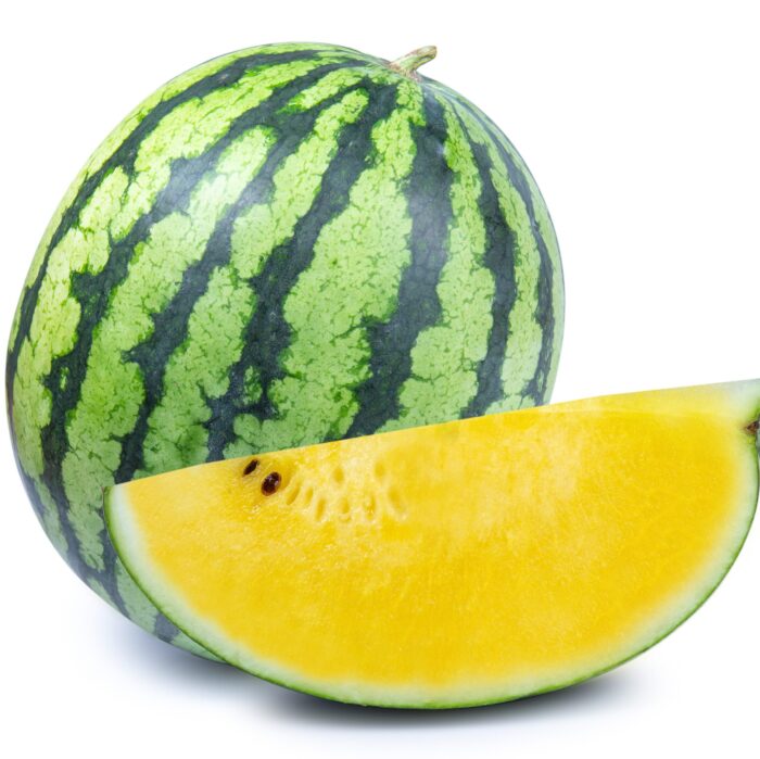 Yellow Gem Watermelon - Albert Lea Seed