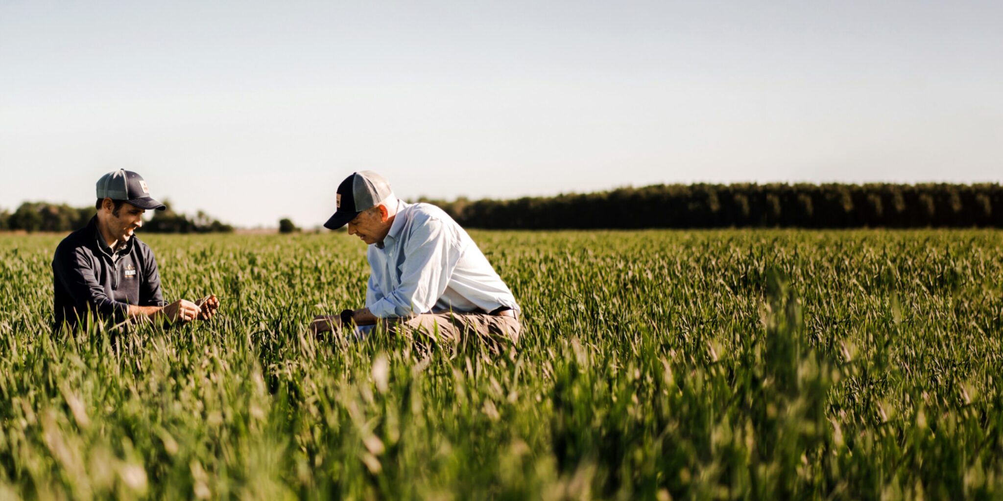 Albert Lea Seed | Strong Non-GMO & Organic Farm Seed